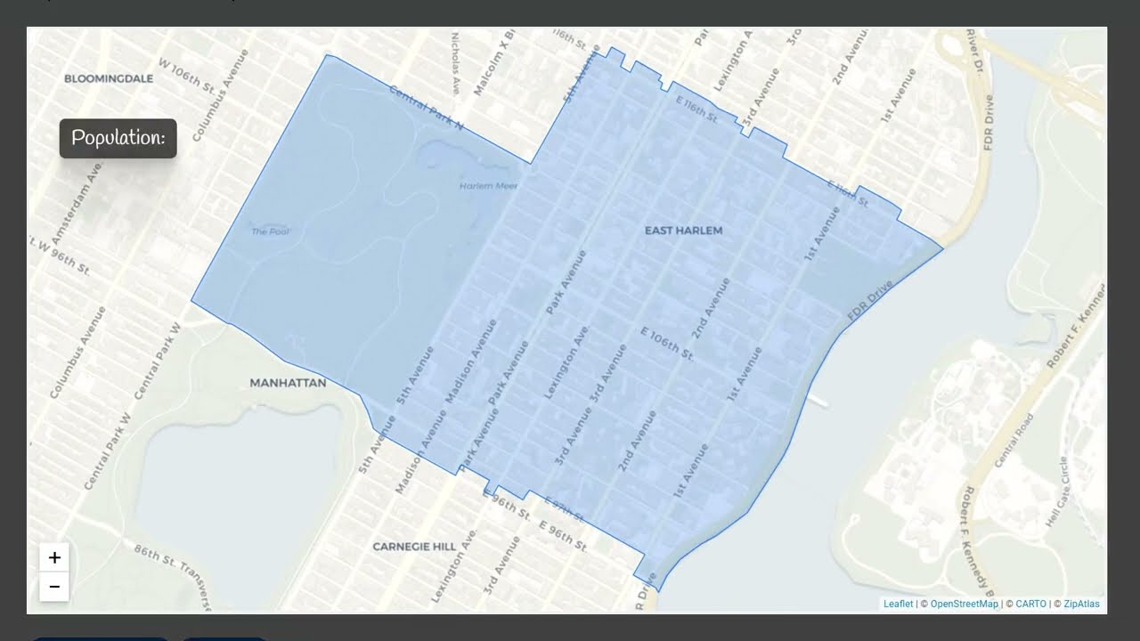 Zip Code 10029 (NY) Social & Economic Profile