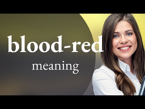 Blood-red • meaning of BLOOD-RED