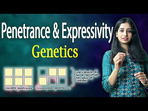 Penetrance and Expressivity II Inheritance Biology (Genetics) II Theory ...