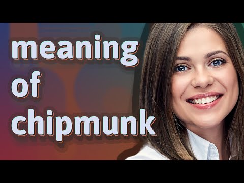 Chipmunk | meaning of Chipmunk