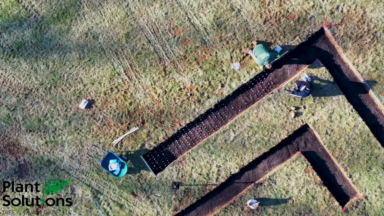 New Jersey Holland Garden Design & Install Part #1 | Plant Solutions | NJ