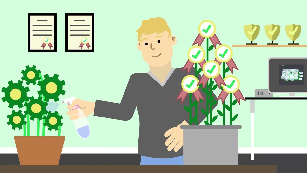 HackerRank - Set Up Your Skills Strategy