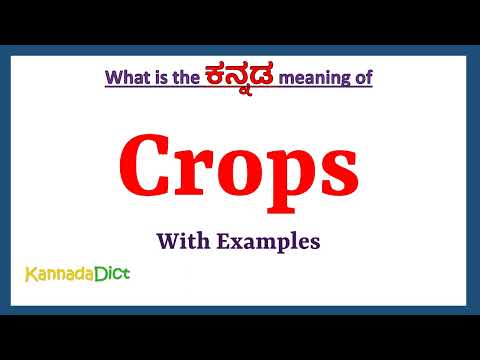 Crops Meaning in Kannada | Crops in Kannada | Crops in Kannada Dictionary |