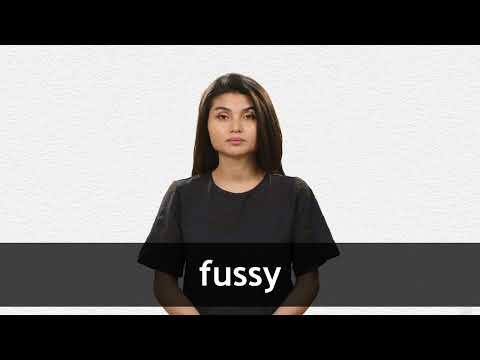 FUSSY 释义 | 柯林斯英语词典