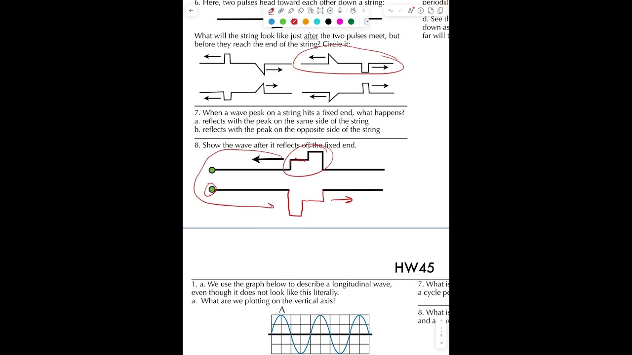 Review Sheet 5