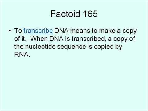 BIOLOGY REVIEW: 152-187 - DNA Science