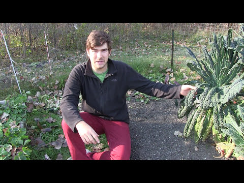 5 Components To Perfect & Healthy Soil