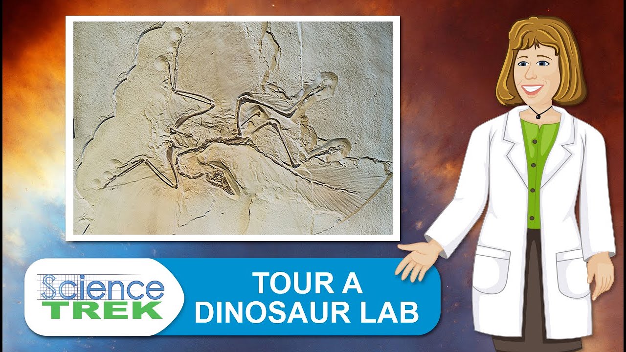Tour a Dinosaur Lab | Science Trek