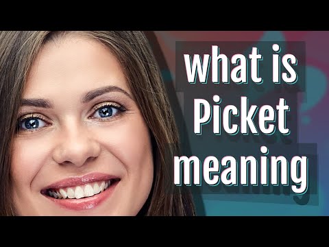 Picket | meaning of Picket
