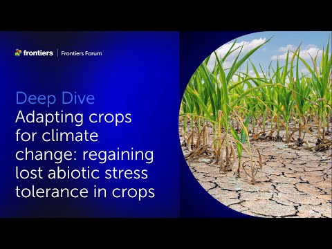 Sergey Shabala and colleagues | Adapting crops for climate change