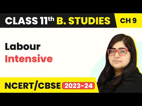 Labour Intensive- MSME and Business Entrepreneurship | Class 11 Business Studies Chapter 9 | 2024-25