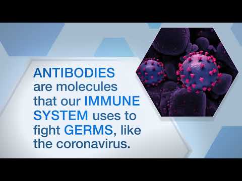 Monoclonal Antibodies: A Potential Treatment for #COVID19