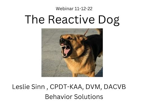 Help, My Dog is Reactive! – Advice from a Veterinary Behaviorist  11-12-22