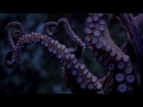 The Collapsing Wave trailer | Doug Johnstone