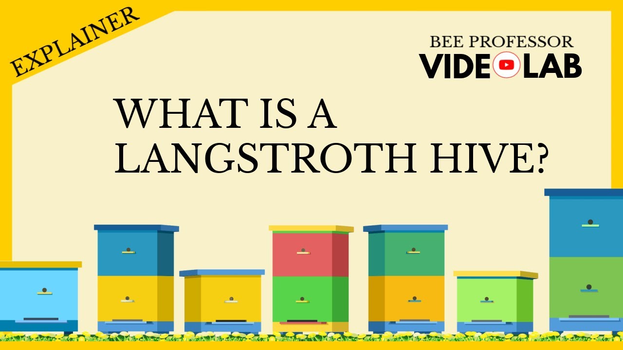 What Is A Langstroth Hive? Quick Guide For Beekeepers