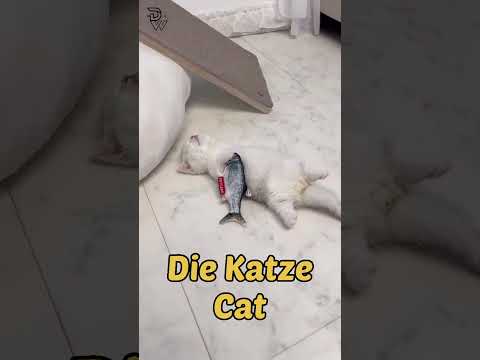 Learning language • German • Deutsch Wortschatz