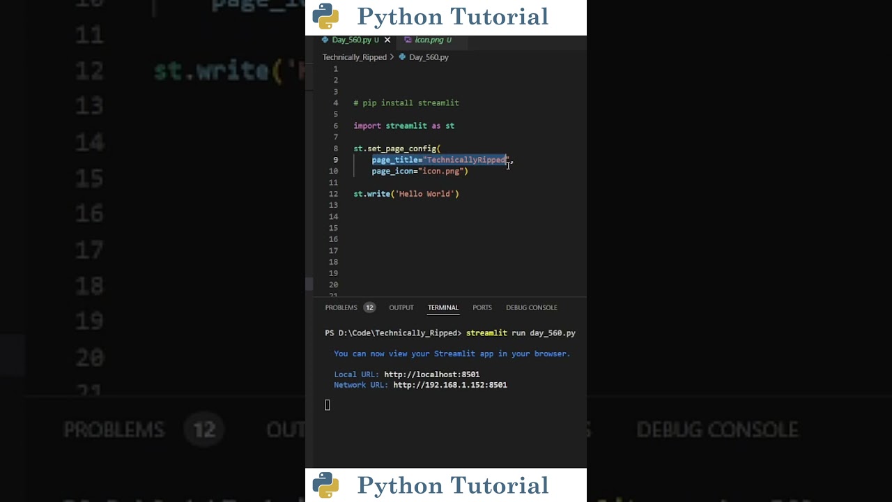 Change Streamlit Web App Name & Icon | Python Tutorial