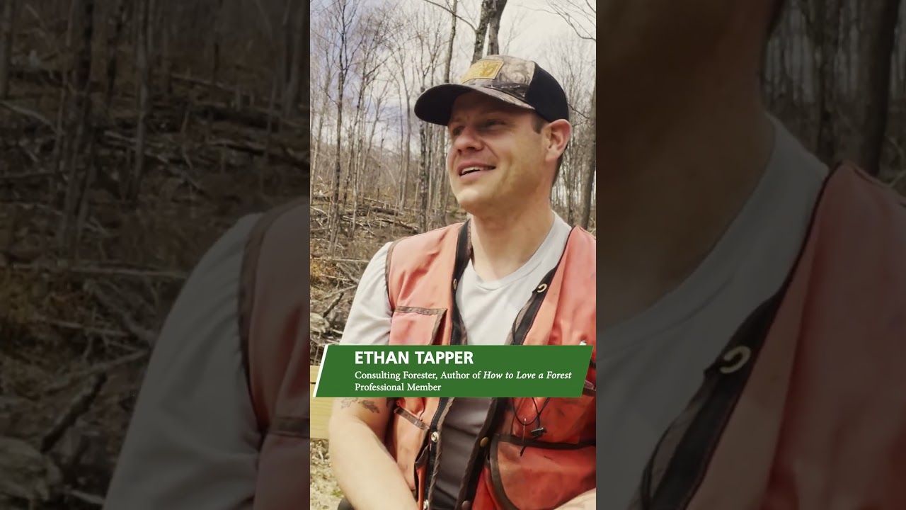 The Forest Stewards Guild launches Lifetime Membership in 2024