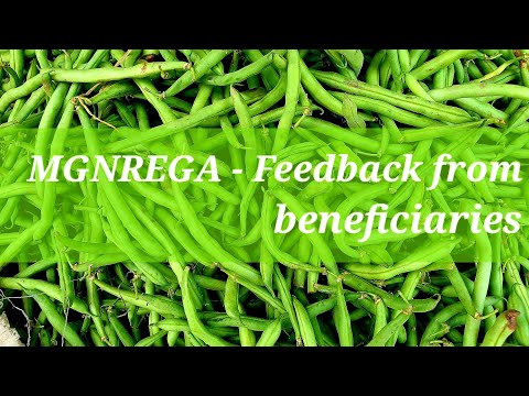 Feedback from beneficiaries |MGNREGA| Department of Rural Development and Panchayati Raj, J&K