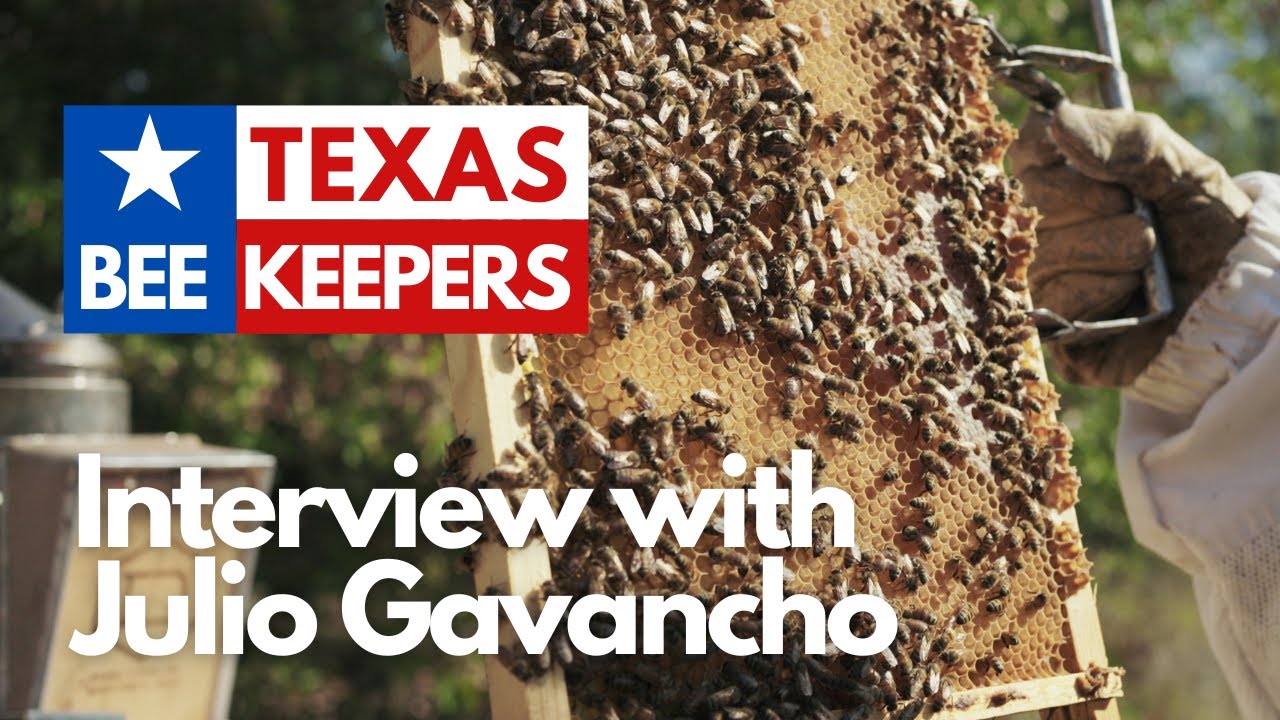 TEXAS BEEKEEPERS with PachaMama Bees in Austin, TX