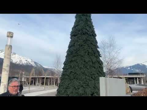 Swarovski Innsbruck