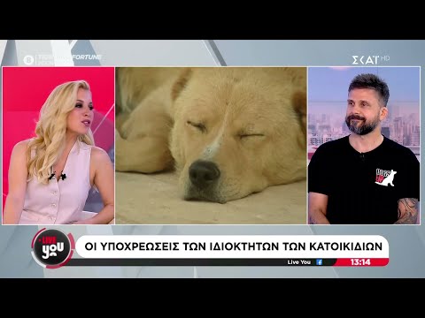 Οι υποχρεώσεις των ιδιοκτητών των κατοικίδιων | Live You | 16/10/2024