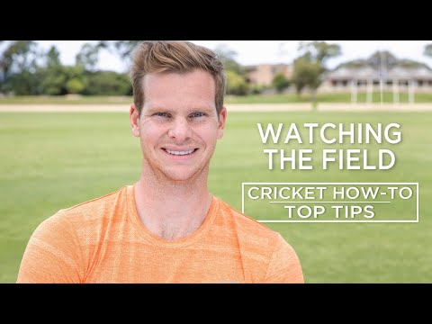 Watching the Field | Top Tips | Cricket How-To | Steve Smith Cricket Academy