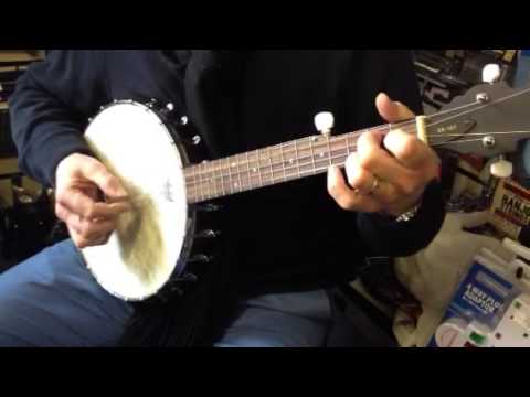 Savannah Travel G Banjo