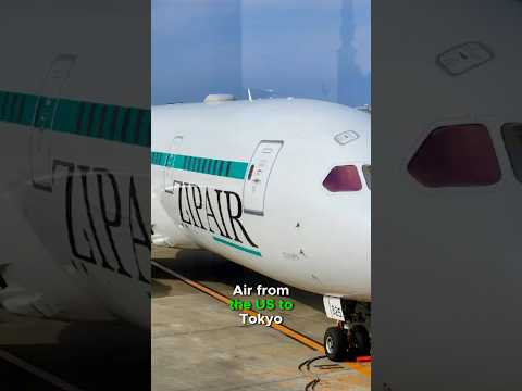 Zipair with toddlers review (US to Japan flights) #japantravel