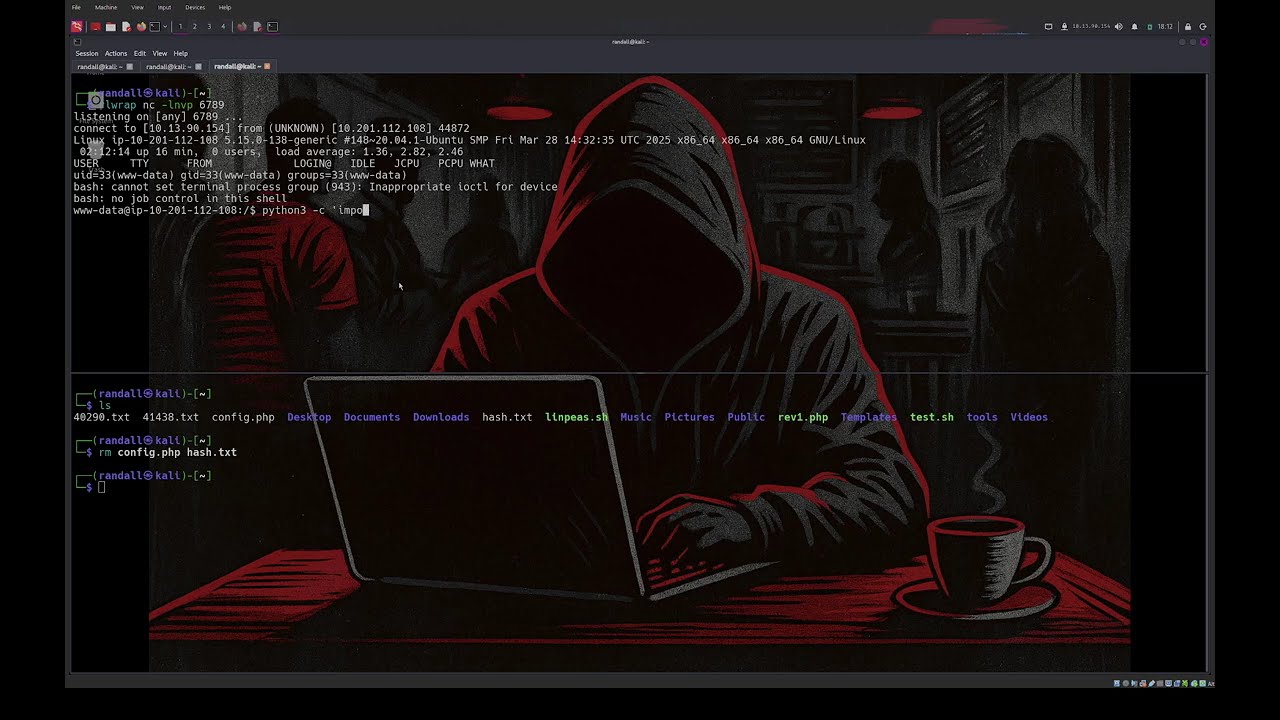 TryHackMe CTF All in One Walkthrough Step‑by‑Step Guide