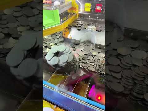 Huge jackpot! #coinpusher #arcade #jackpot #SummerOnShorts