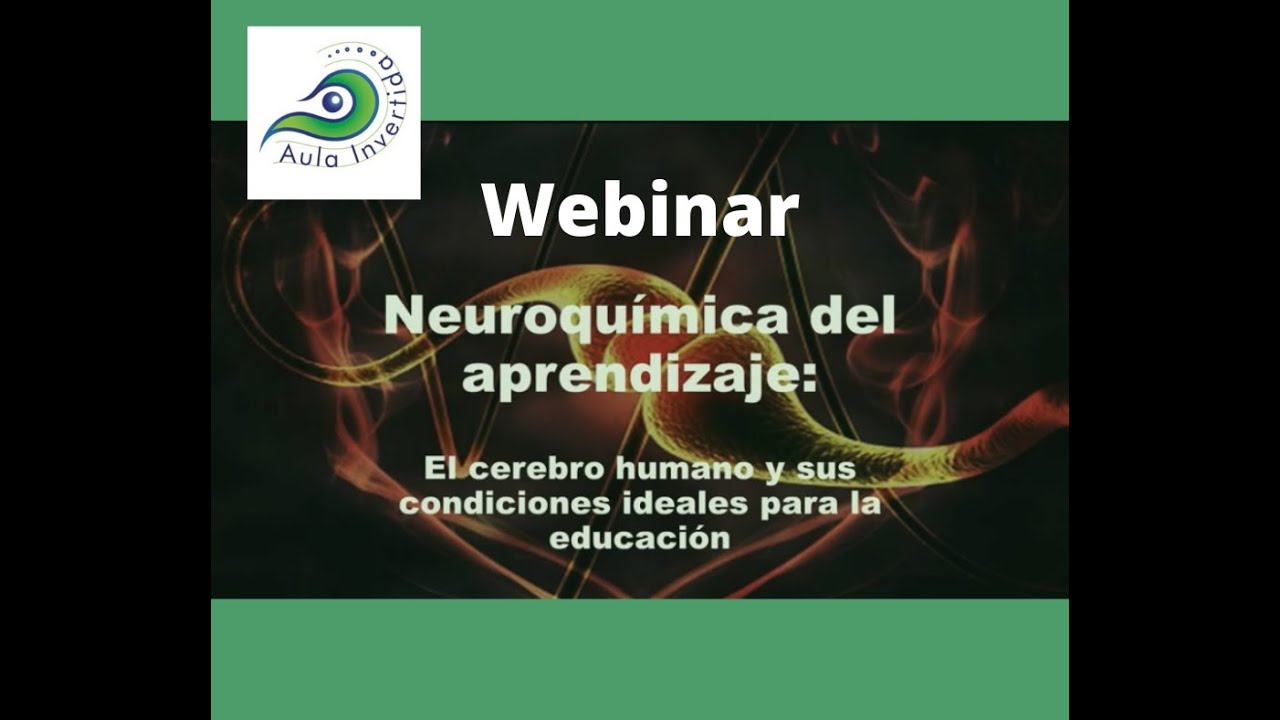 Neuroquímica del Aprendizaje: El cerebro humano y sus condiciones ideales para la educación