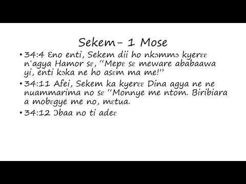 Sekem: 1 Mose