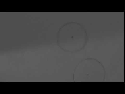 Two balls travelling across the screen with different timing and ...