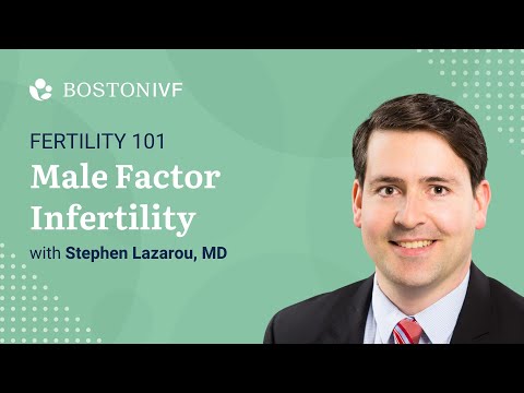 Male Factor Infertility Explained | Dr. Stephen Lazarou