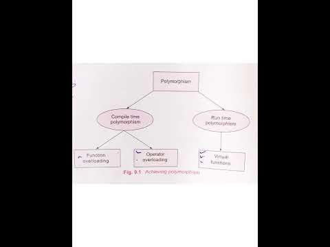 type of polymorphism in C++