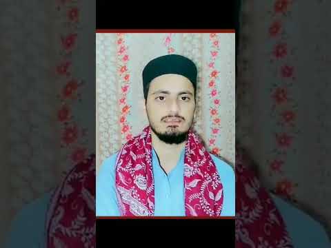 Jrf Qualified UGC NET JRF URDU | Urdu Hai Jiska Naam #Shorts #Youtubeshorts #YoutubeIndiaShorts