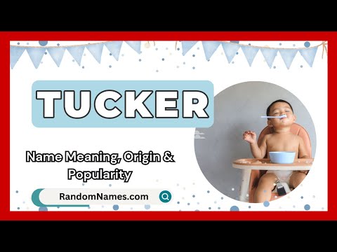 Tucker - Baby Boy Name Meaning, Origin & Popularity - RandomNames.com