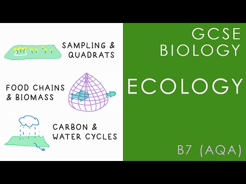 ECOLOGY - GCSE Biology (AQA Topic B7)