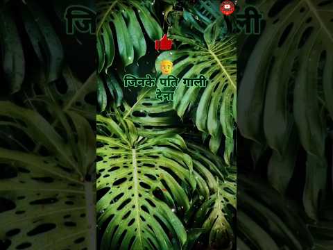 ????Best motivation quotes ll अगर अकेले हो तो इसे सुनो ll ???? #youtubeshorts #arfmindhunter #viral