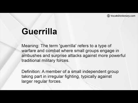 Guerrilla Meaning