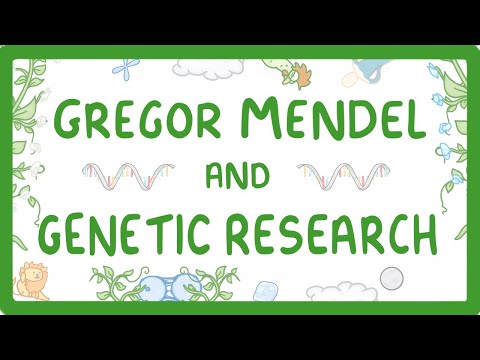 GCSE Biology - Gregor Mendel and the History of Genetics