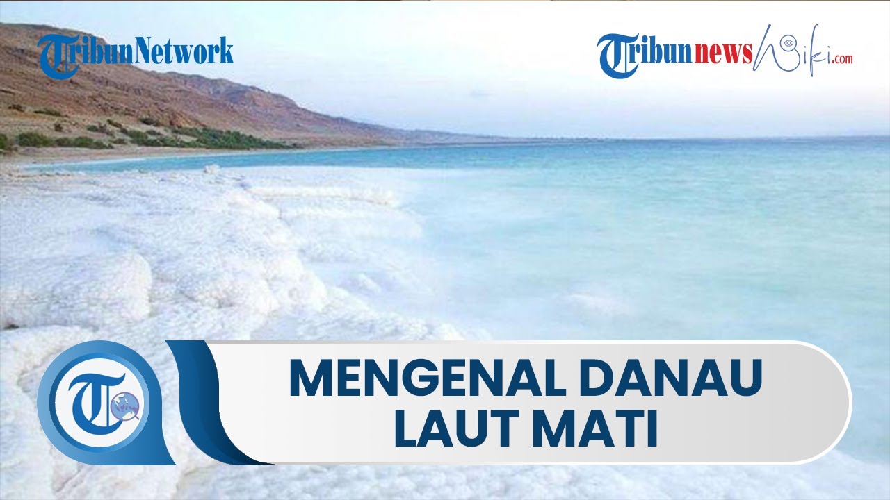 Mengenal Laut Mati adalah Danau Hipersalin yang Terletak di antara ...