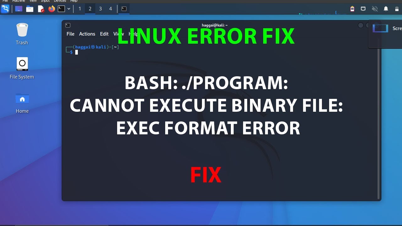 LINUX: bash: ./program: cannot execute binary file: Exec format error
