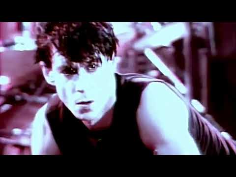 Real Wild Child Iggy Pop