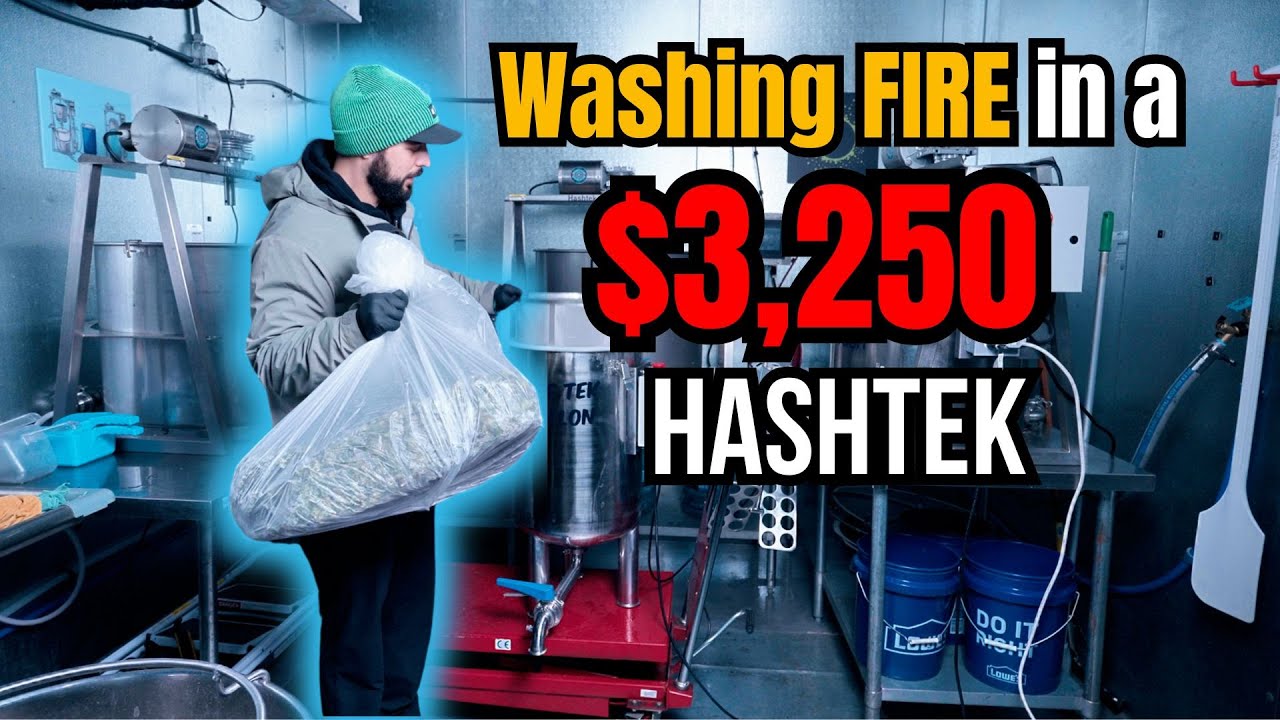 Washing 10lbs of Fire in a Hashtek BubbleTek 🔥 | Rosin Tech Labs Micro Batch Breakdown