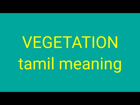 VEGETATION tamil meaning/sasikumar