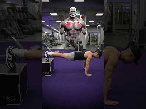 Pushups Variations (UPPER, MIDDLE & LOWER CHEST)