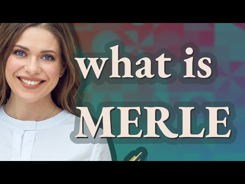 Merle | meaning of Merle