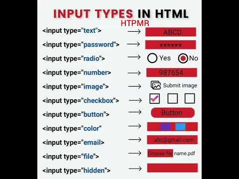 Input Types In HTML - HTPMR